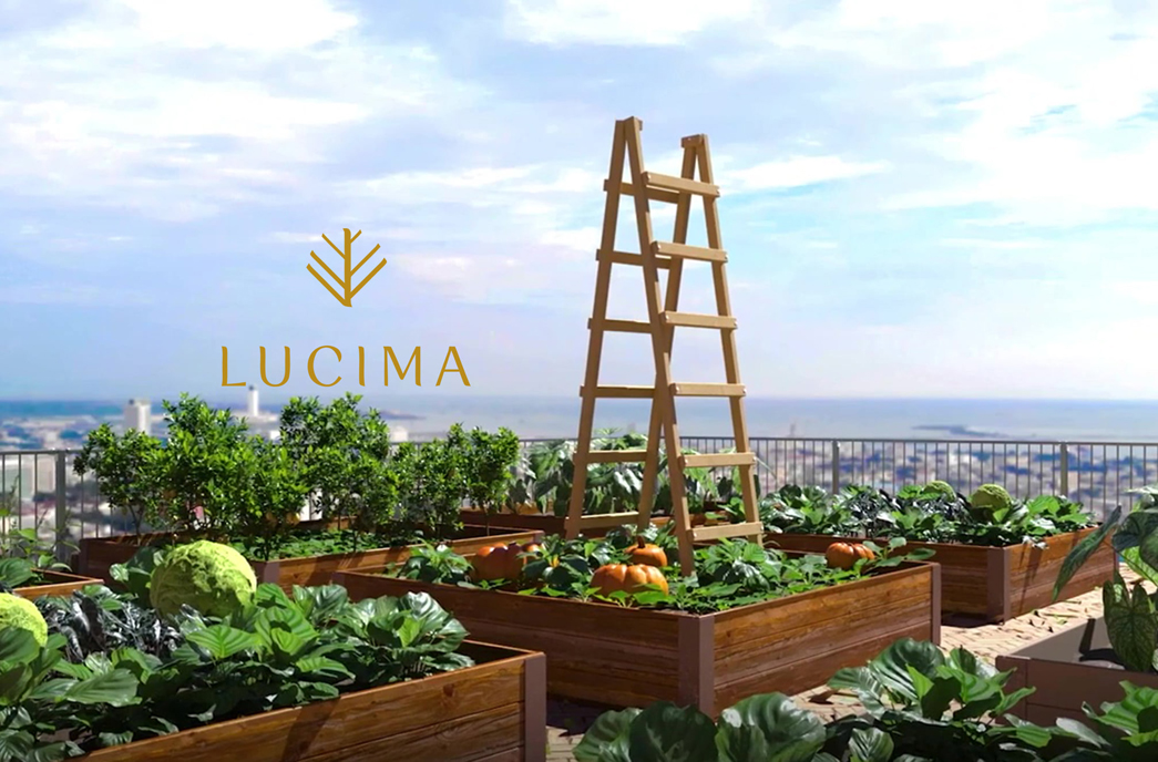 Lucima Condominium cebu business park for sale -garden unit 2 | Land ...