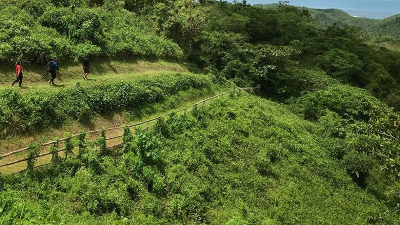 Hike-Trails-Foressa-Mountain-Town-Update | Land Asia Realty