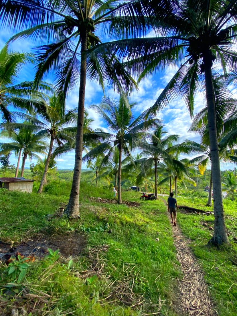 Farm Lot for Sale – Tuburan, Cebu | Land Asia Realty